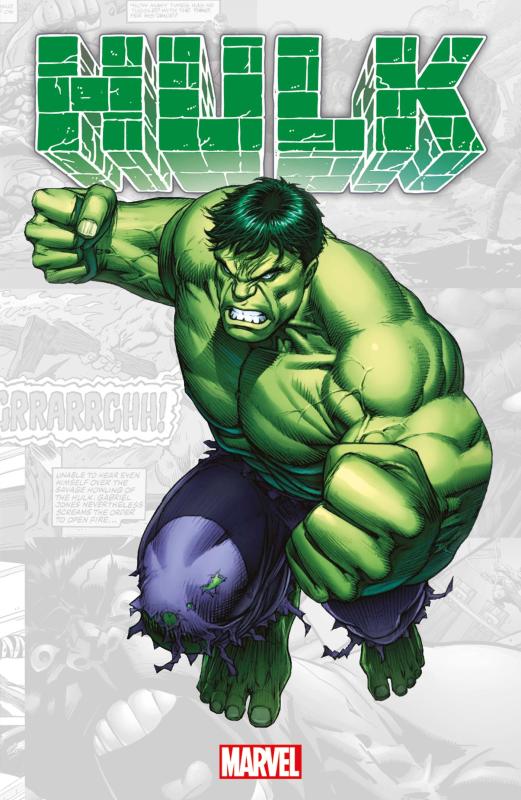 MARVEL-VERSE : HULK | Boom's BD